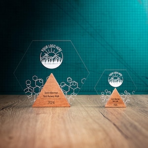 HIVE Personalised Wooden Acrylic Trophy Award Personalized Bespoke ...