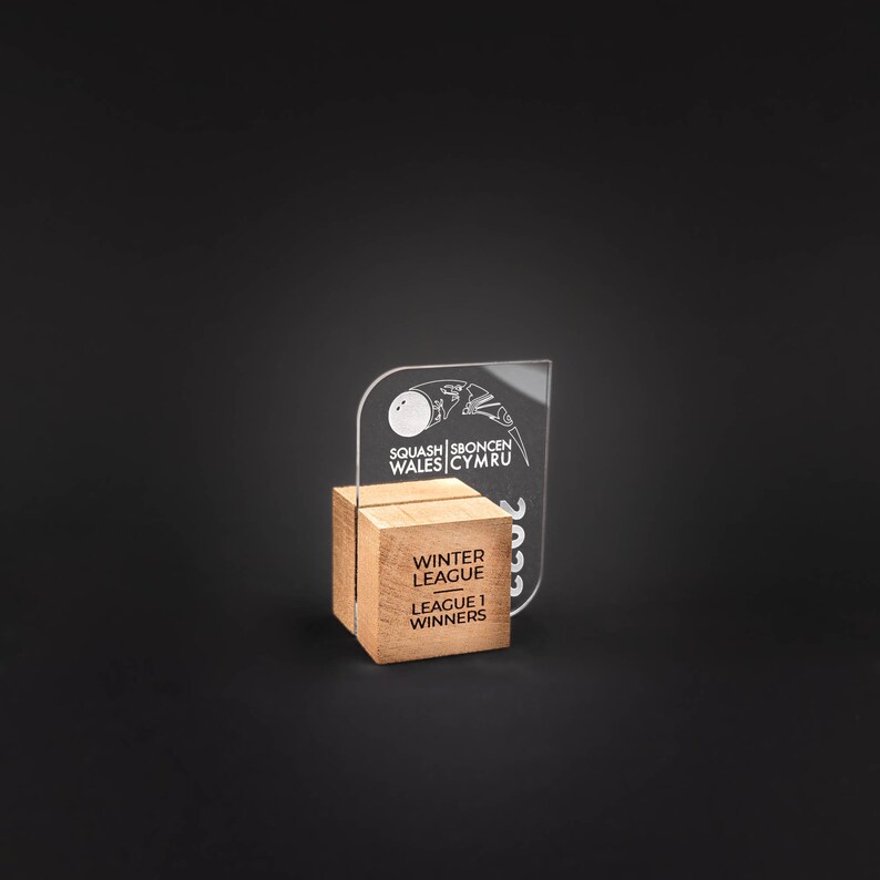 LEAF Personalised Wooden Acrylic Trophy Award Personalized - Etsy