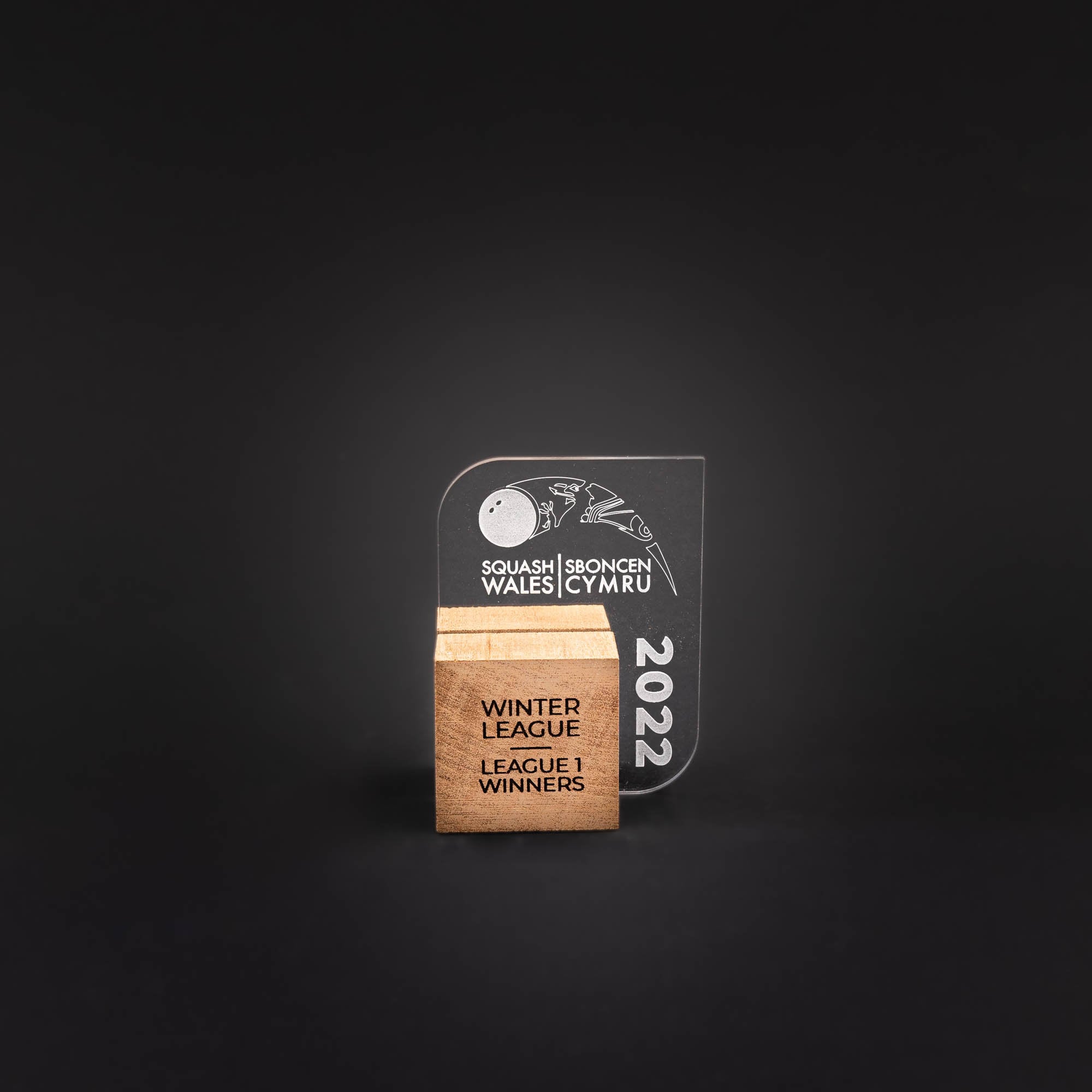 LEAF Personalised Wooden Acrylic Trophy Award Personalized - Etsy UK