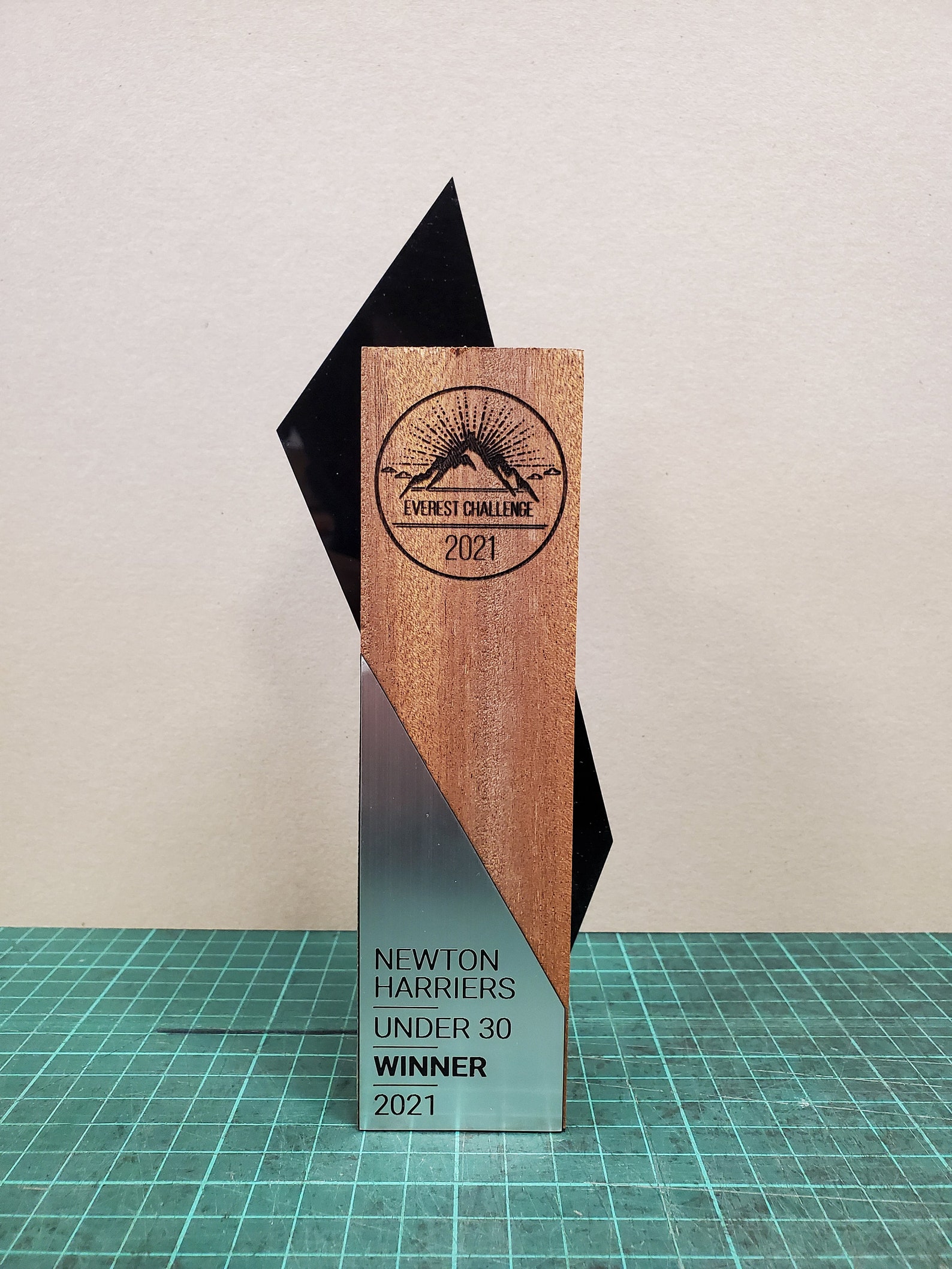 Personalised Wooden Trophy Kite Award Personalized Bespoke | Etsy