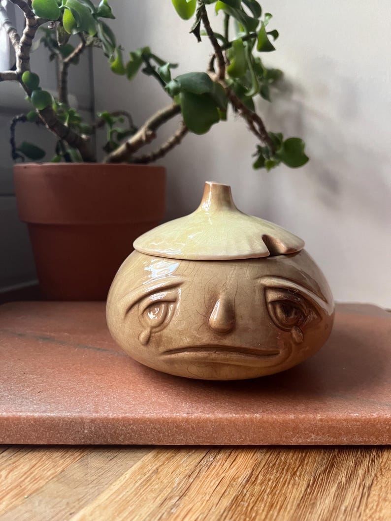 Vintage Crying Onion Face Jar - Etsy