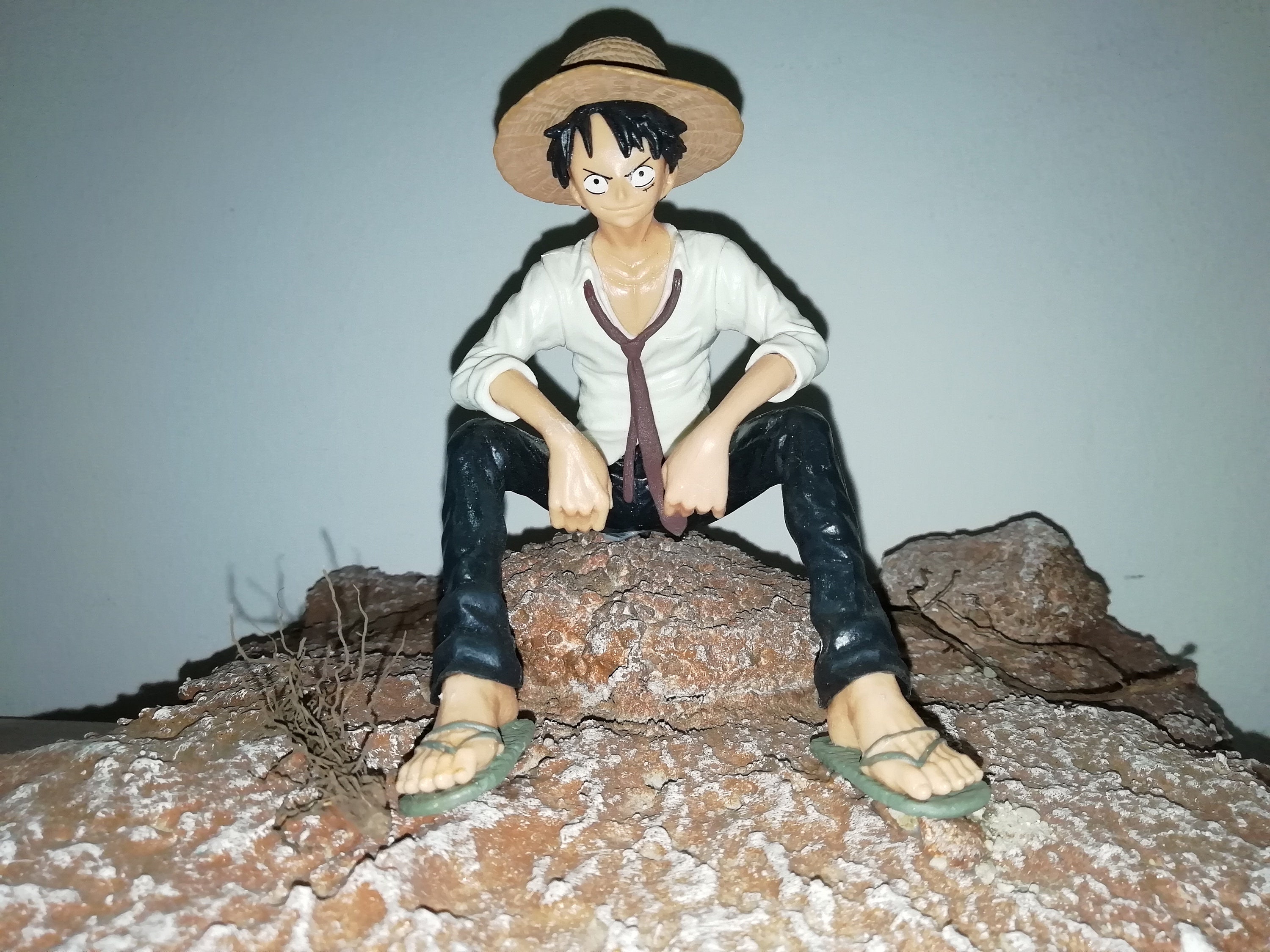 Diorama One Piece Monkey D. Luffy Rubber by the Sea - Etsy