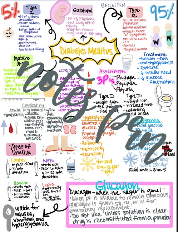 Nursing Notes-diabetes - Etsy