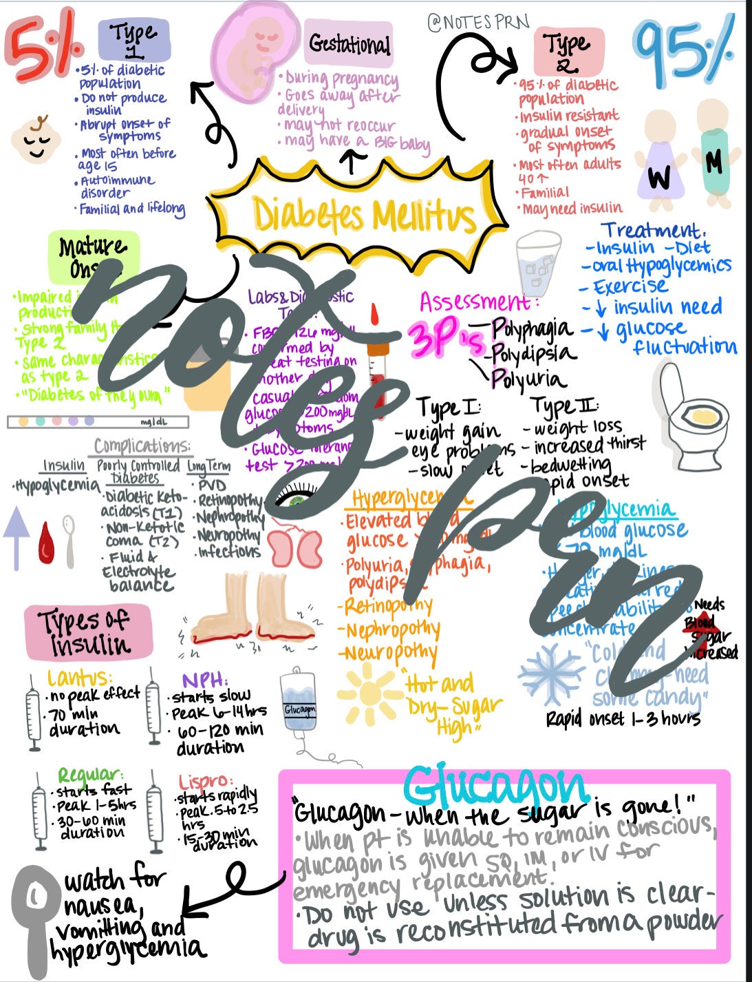 Nursing Notes-diabetes - Etsy