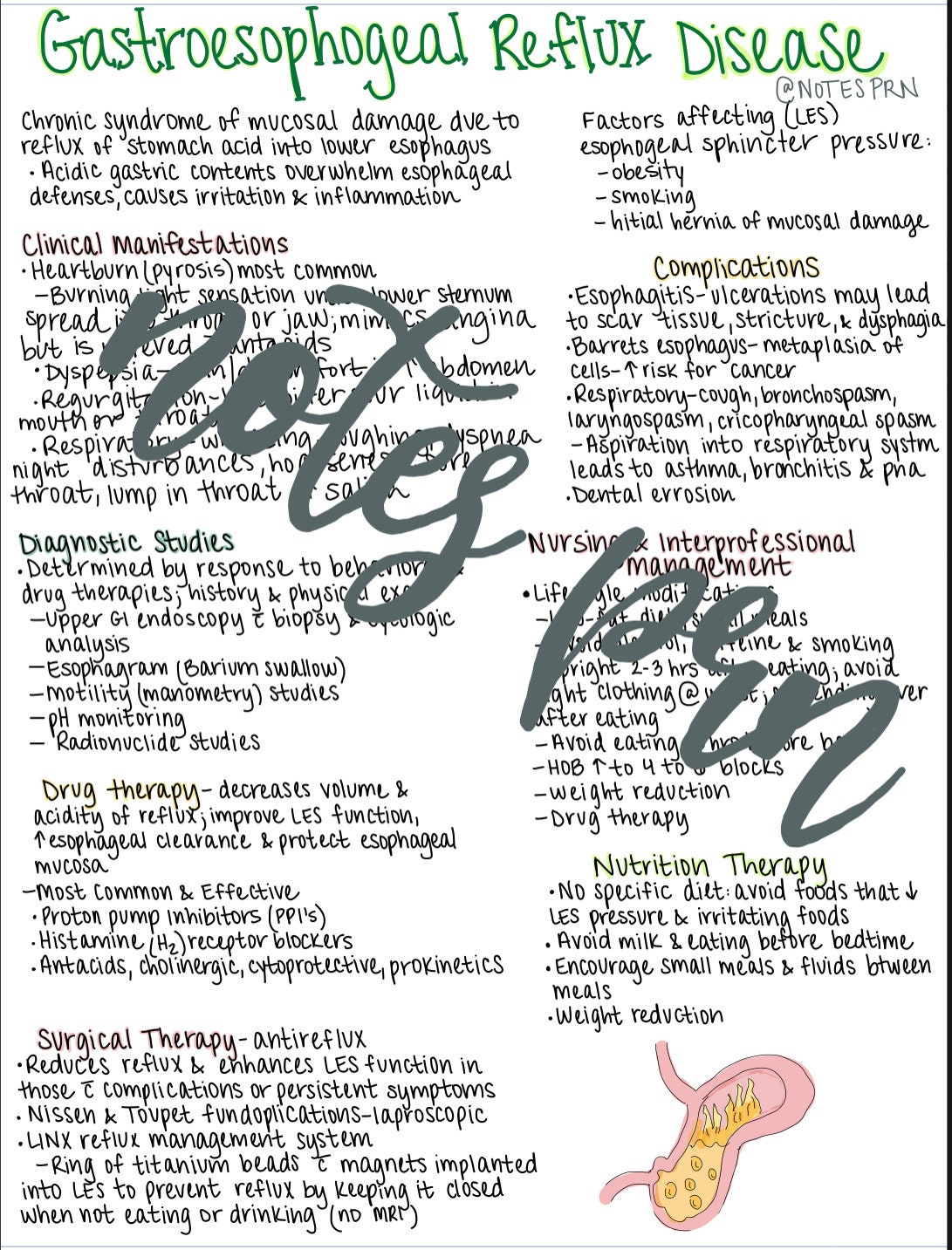 Nursing Notes-gerd - Etsy