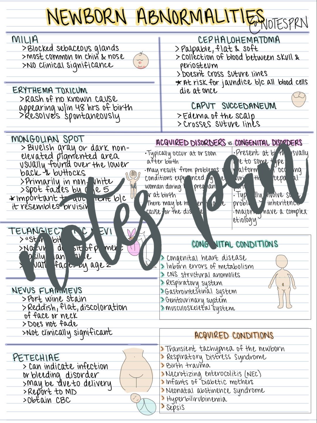 Nursing Notes-newborn Abnormalities - Etsy