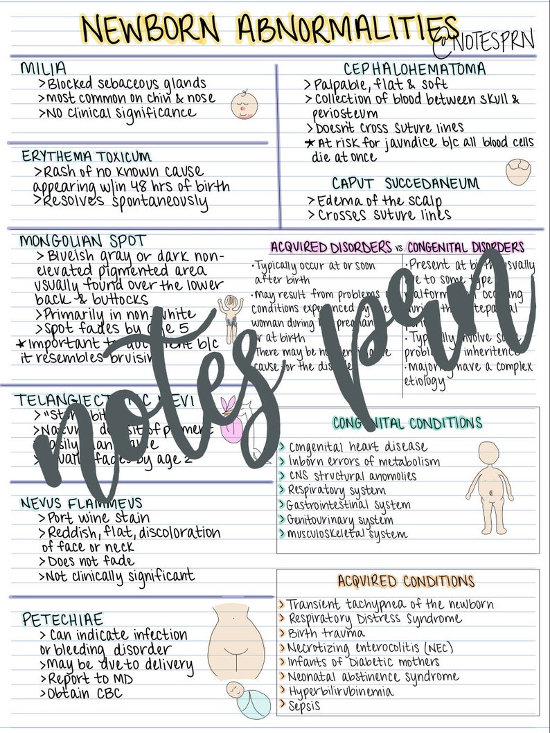 Nursing Notes-newborn Abnormalities - Etsy