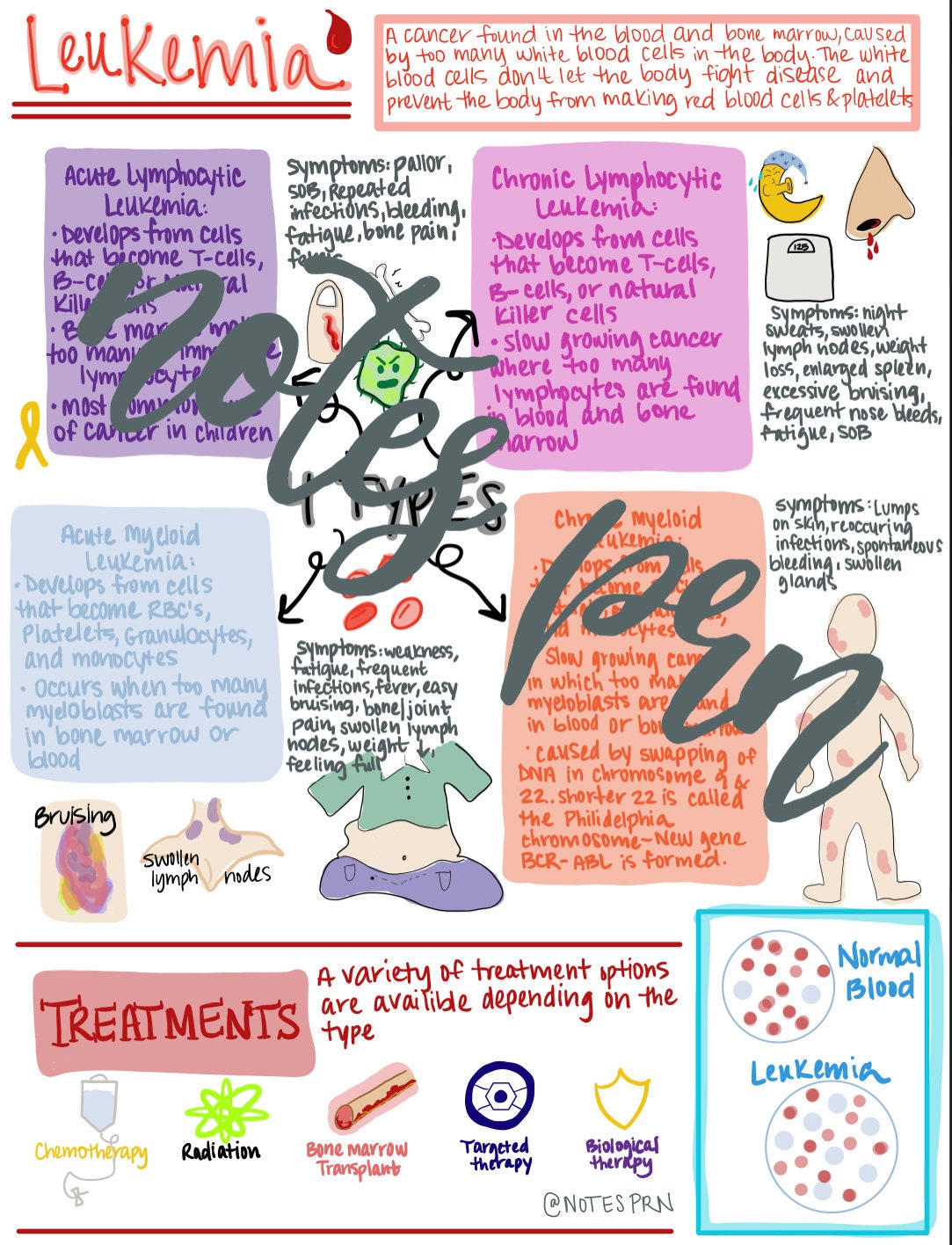 Nursing Notes-leukemia - Etsy