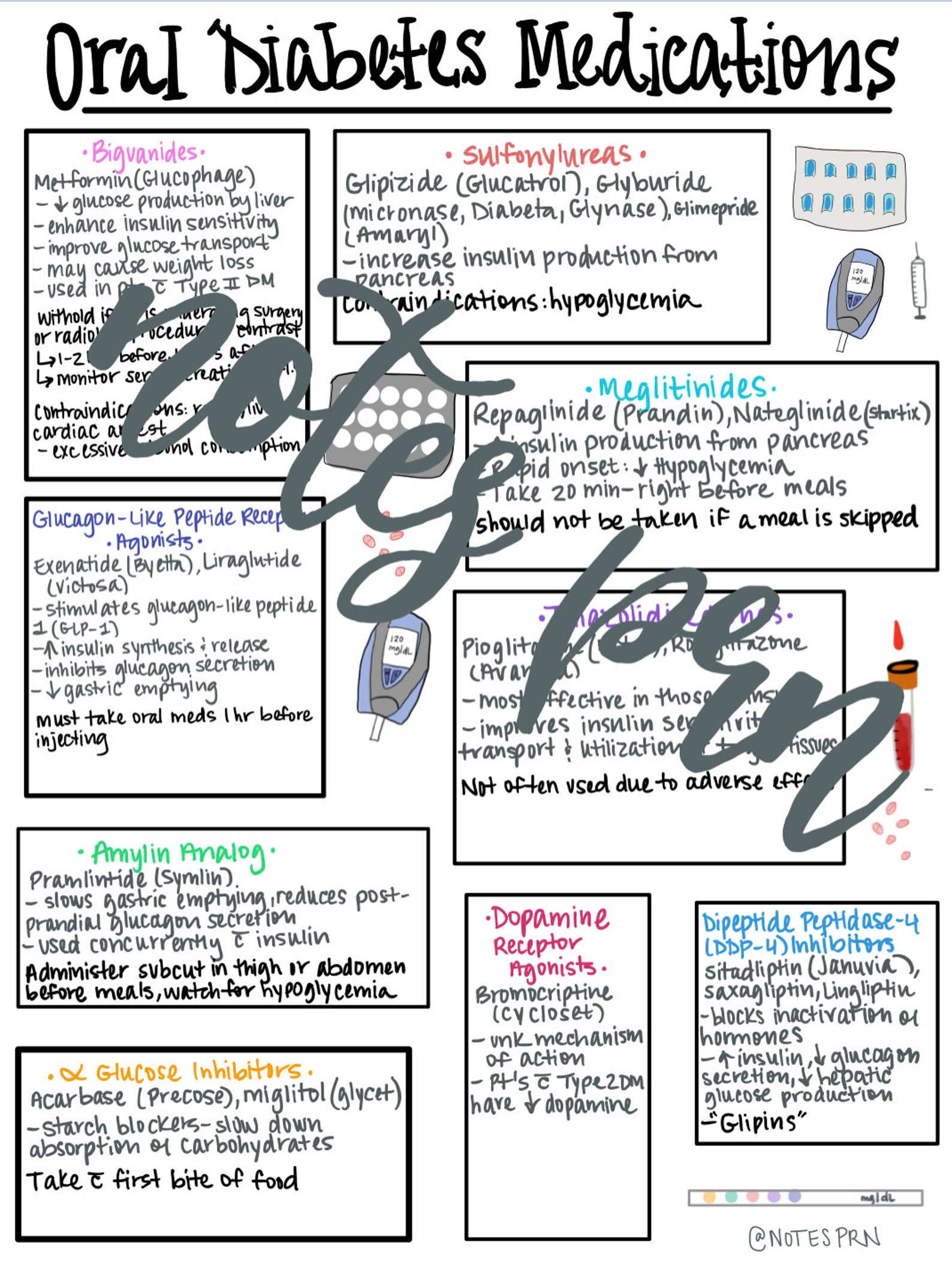 Nursing Notes-oral Diabetes Medications - Etsy
