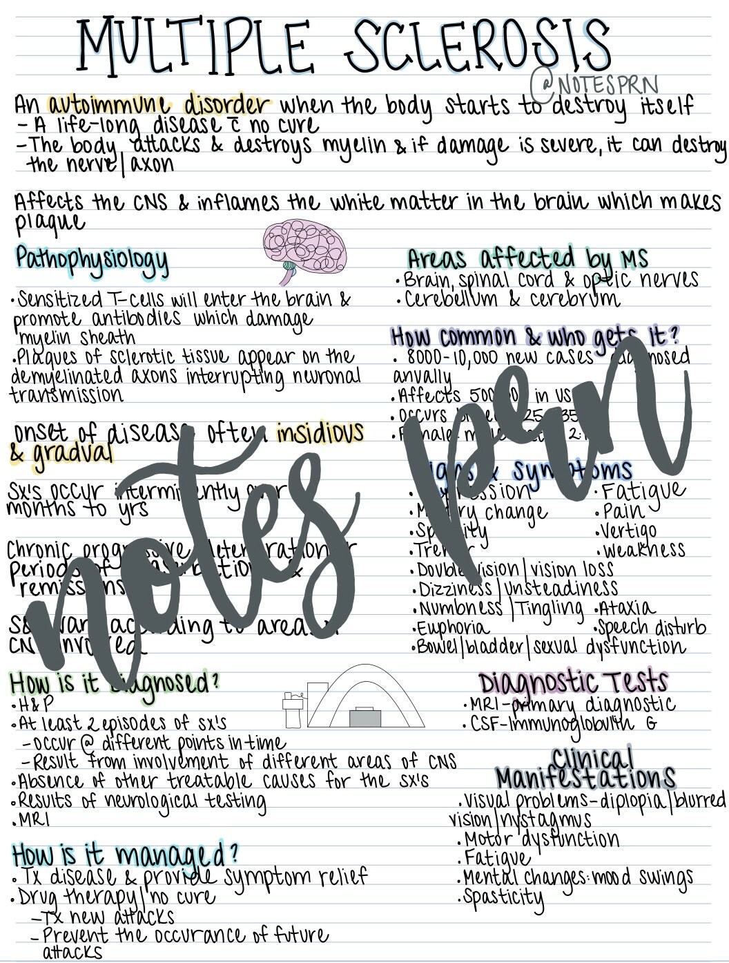 Nursing Notes-mulitple Sclerosis - Etsy