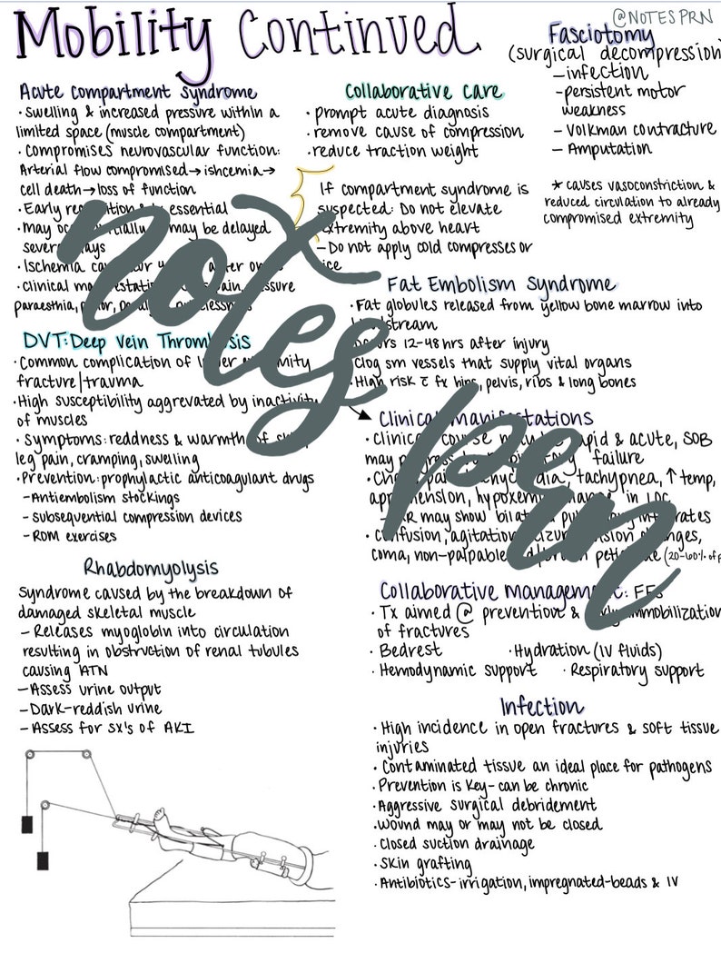 Nursing Notes-mobility in Med Surg - Etsy