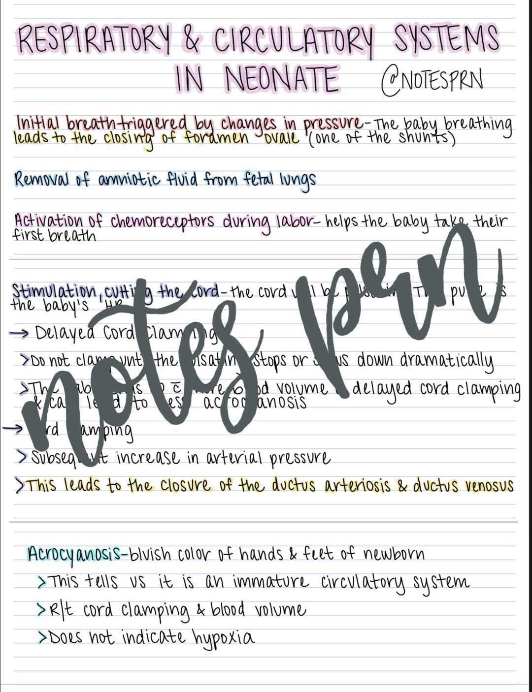 Nursing Notes-resp and Circulatory System in Neonate - Etsy