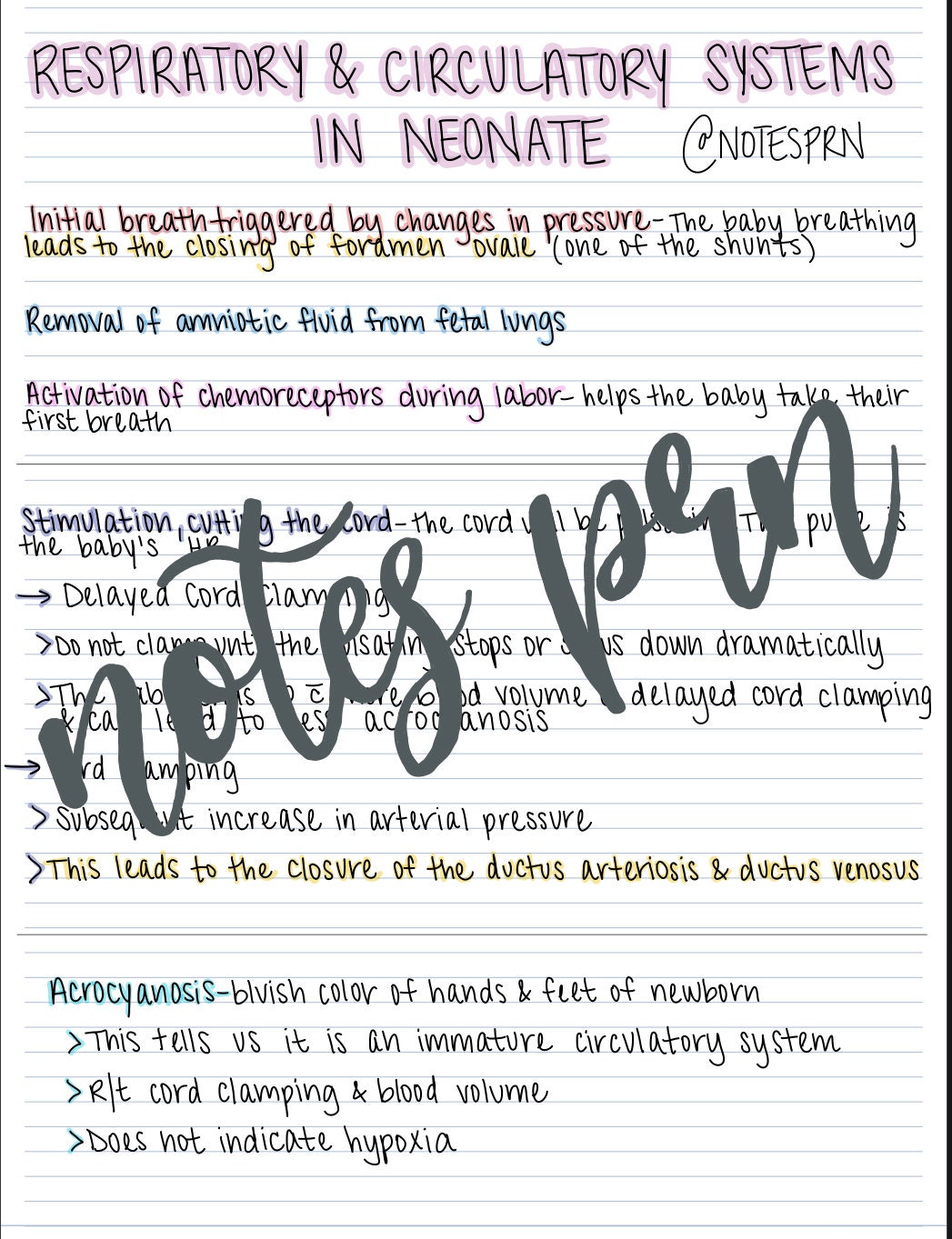 Nursing Notes-resp and Circulatory System in Neonate - Etsy