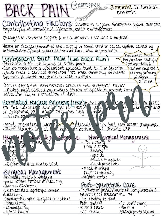 Nursing Notes-back Pain - Etsy