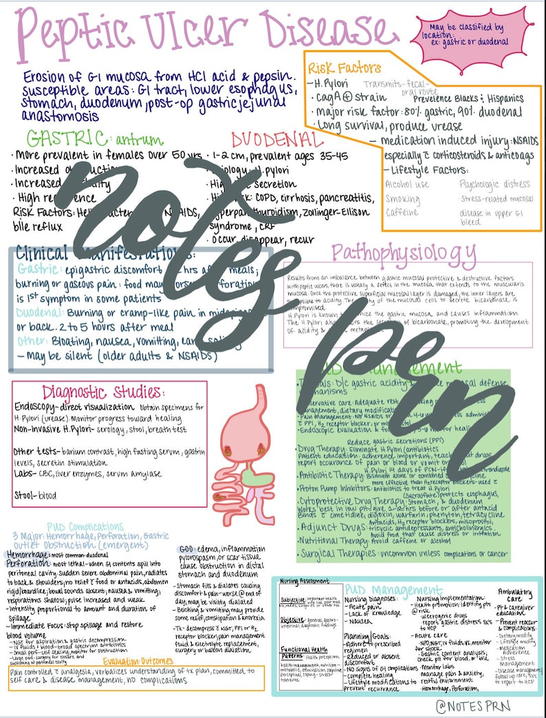 Nursing Notes-peptic Ulcer Disease - Etsy