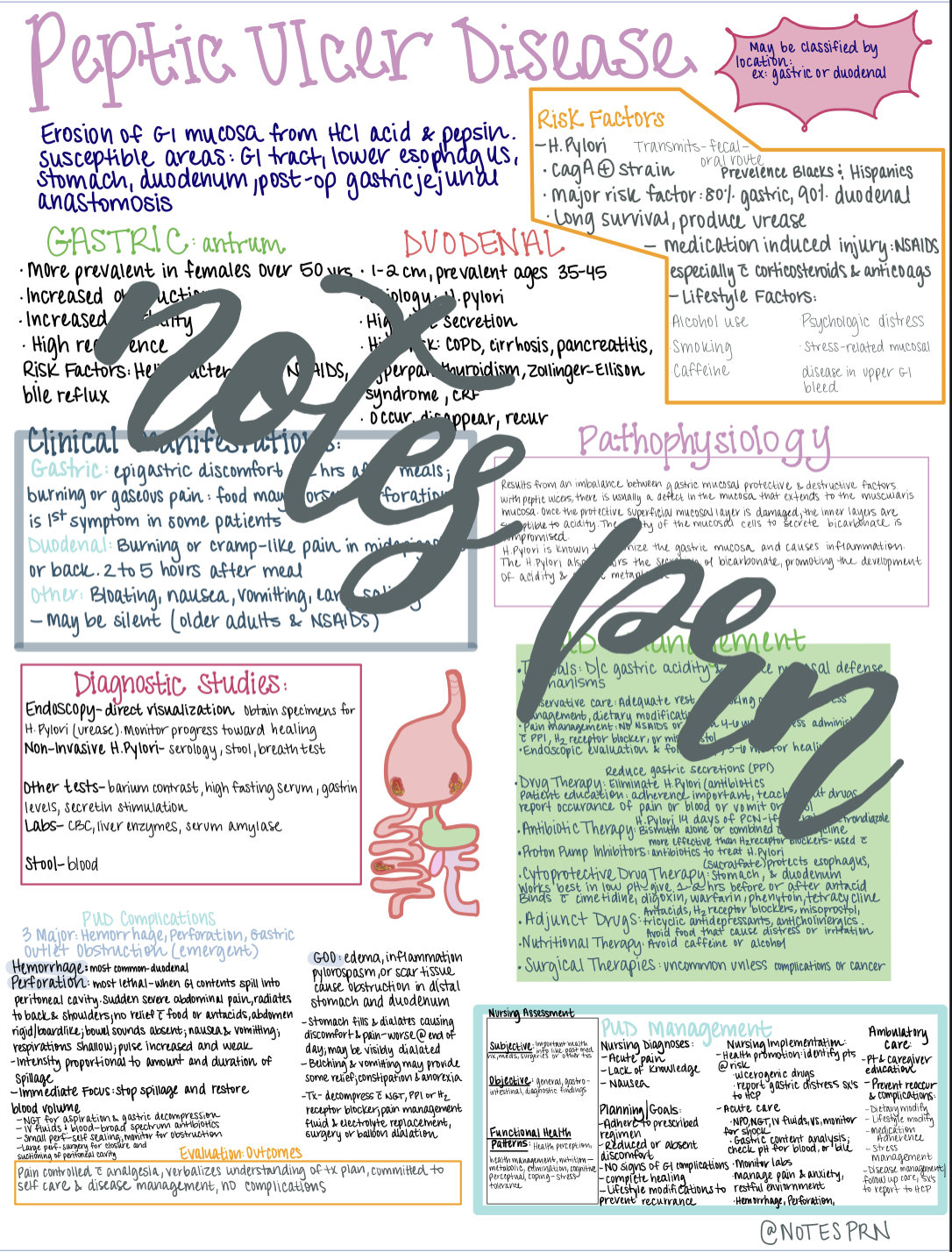 Nursing Notes-peptic Ulcer Disease - Etsy