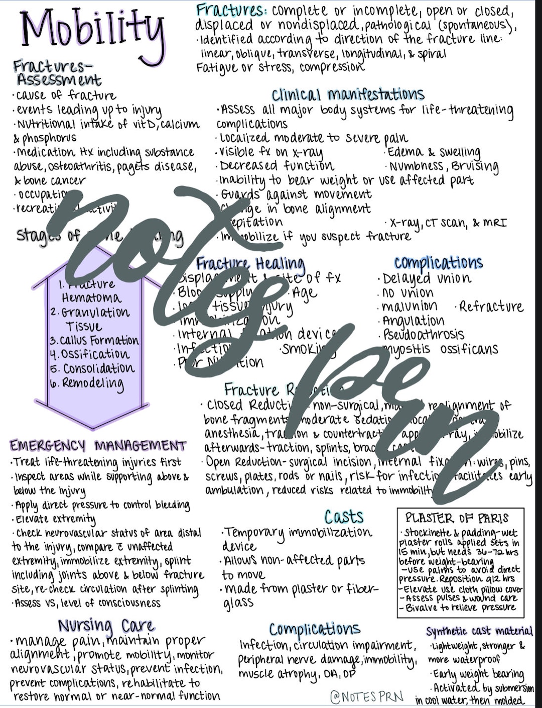 Nursing Notes-mobility in Med Surg - Etsy