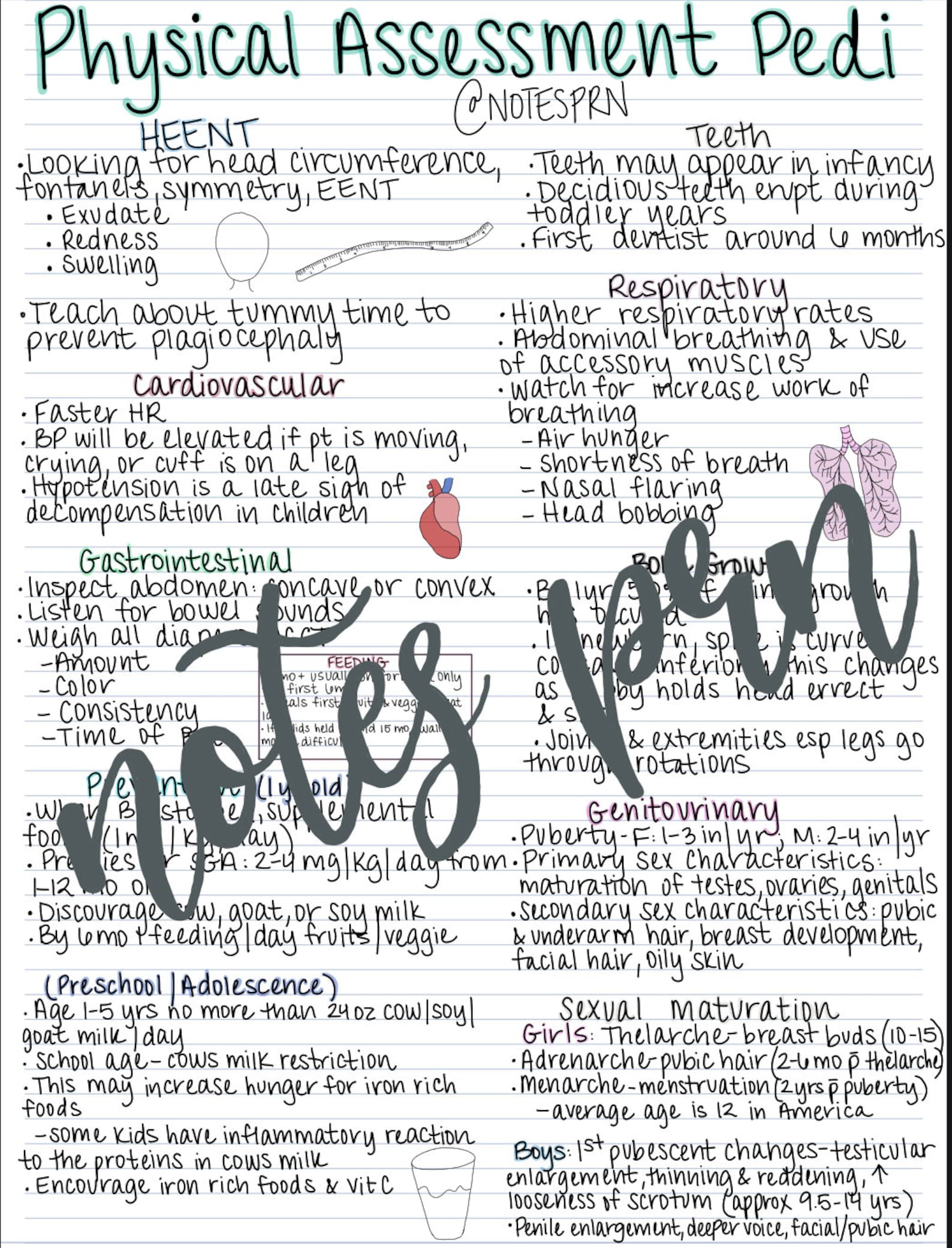 Nursing Notes-physical Assessment in Pediatrics - Etsy