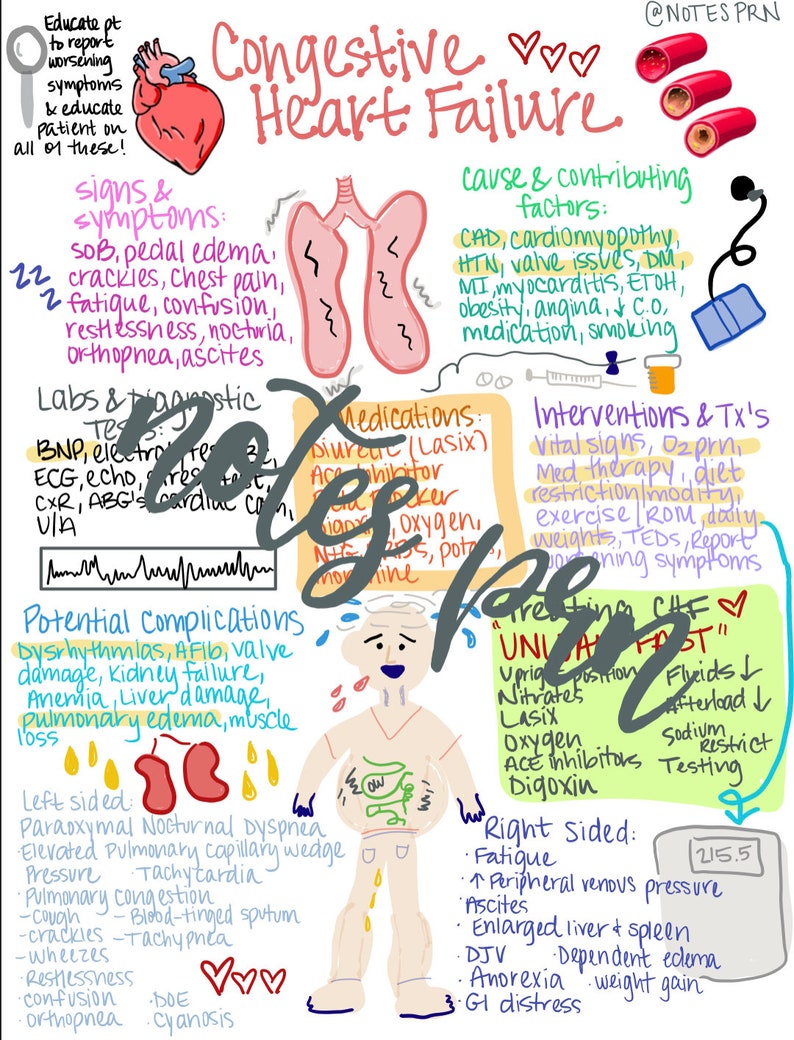 Nursing Notes-congestive Heart Failure - Etsy
