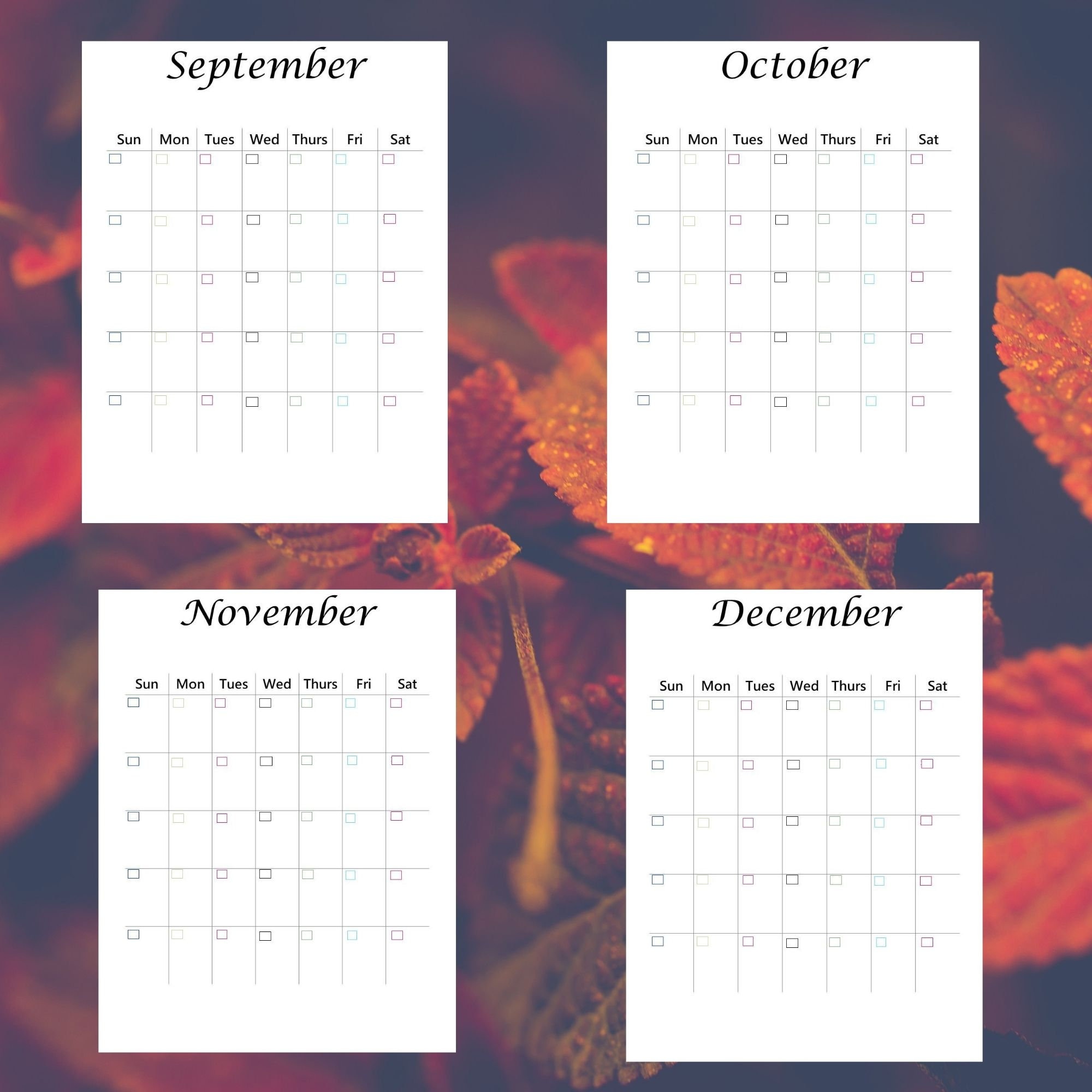 Undated Printable Calendar Bundle - Etsy