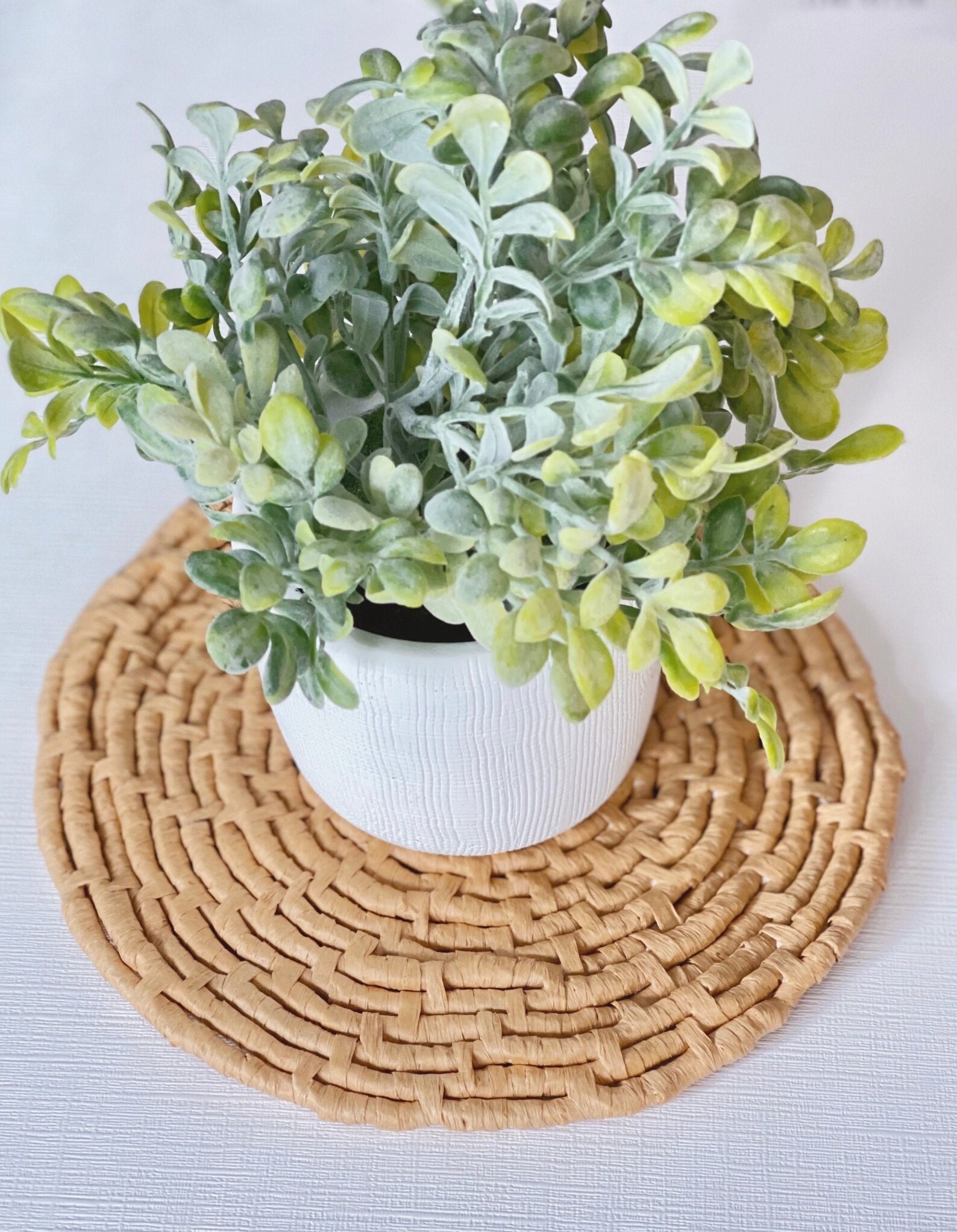 Raffia Plant Mat | Etsy