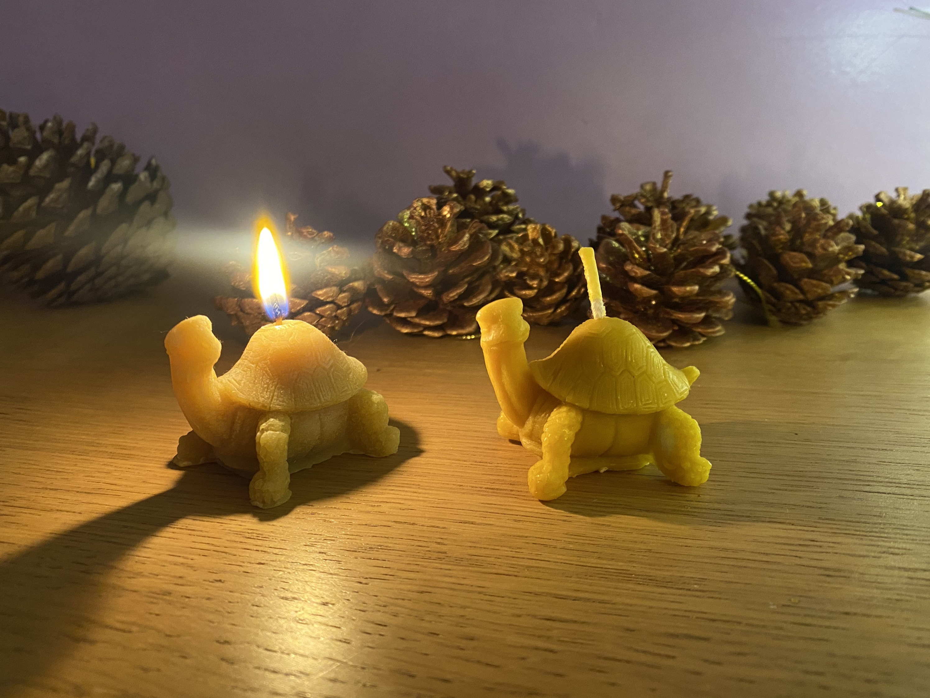 Pure Beeswax Candle Turtle - Etsy Ireland