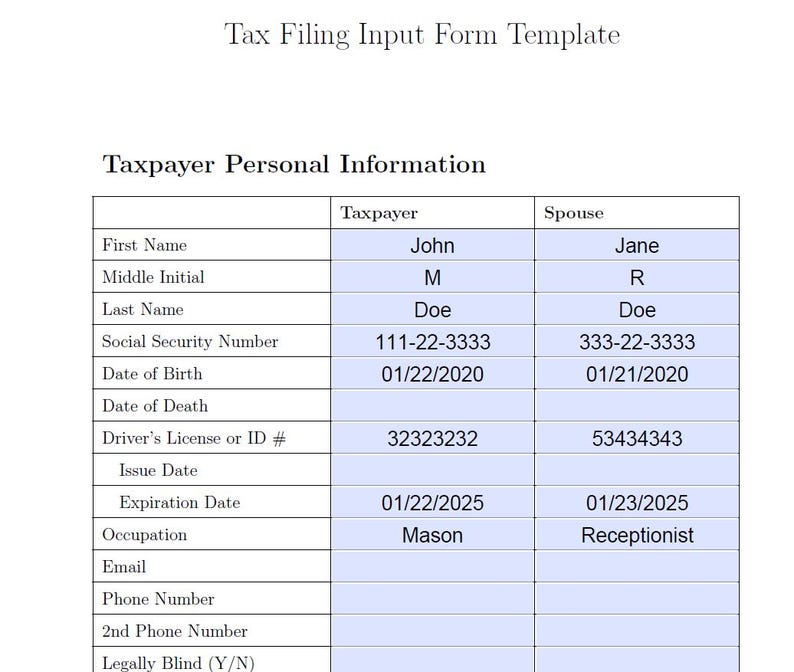 Tax Client Input Form: Fillable PDF Template - Etsy