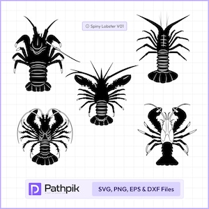 Lobster Svg, Florida Keys Svg, Rock Lobster Sv,g Lobster Fishing Beer ...