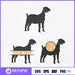 Market Goat SVG Design, Boer Goat, Show Wether Goat SVG, Show Goat SVG ...