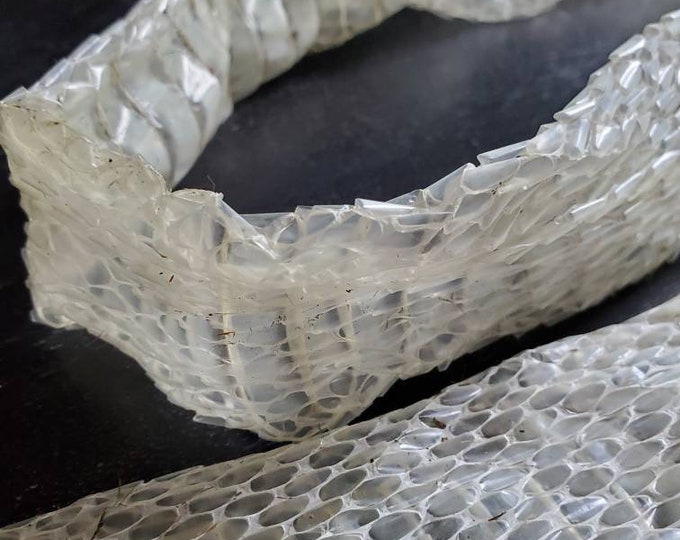 Albino Corn Snake Shed - 58 In. | Cruelty-free | Jewelry, Resin, Art ...