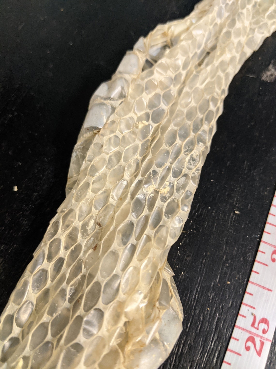 Albino Corn Snake Shed 58 In. Cruelty-free Jewelry - Etsy