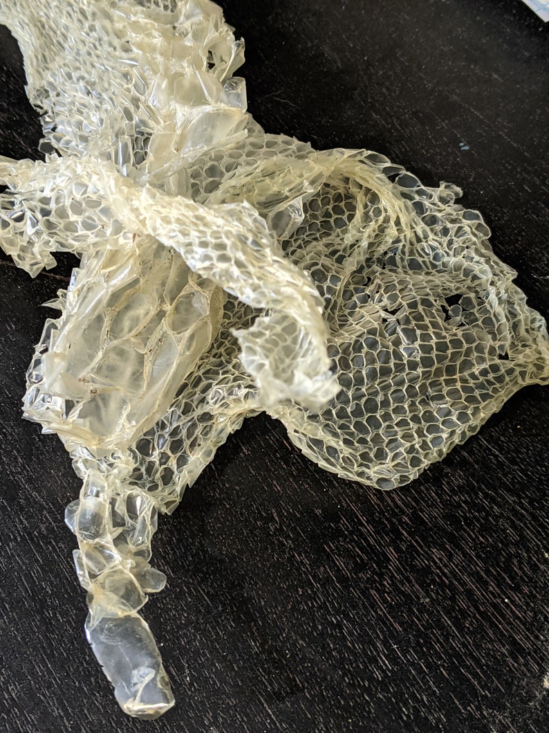 Snake Shed Crafting Pack | Cruelty-free | Art, Resin, Jewelry, Wiccan ...