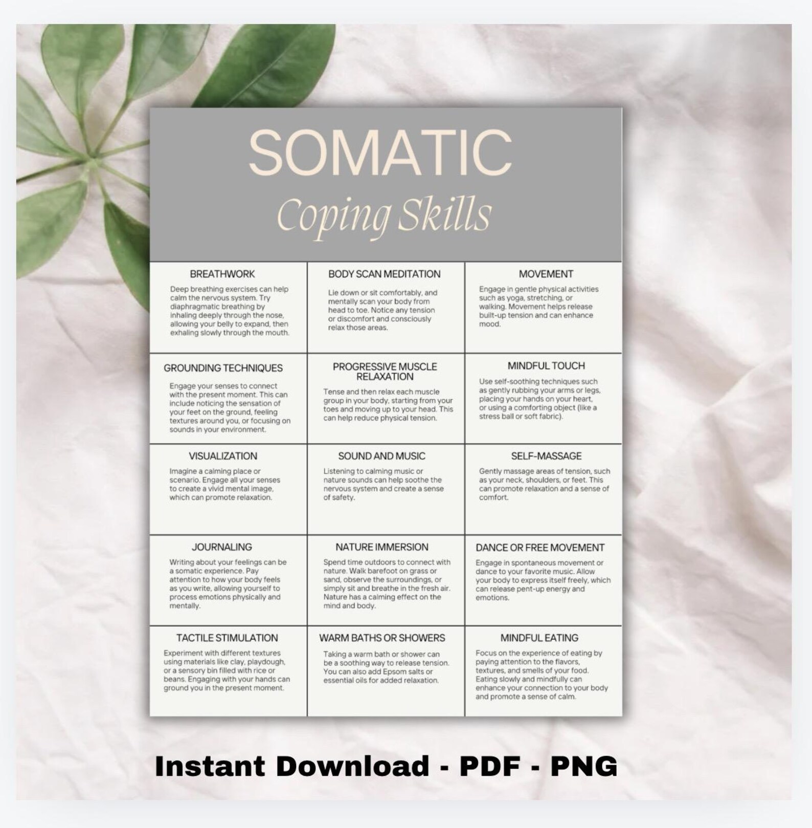 Somatic Therapy Coping Skills Chart: Emotional Regulation (PDF, PNG) - Etsy