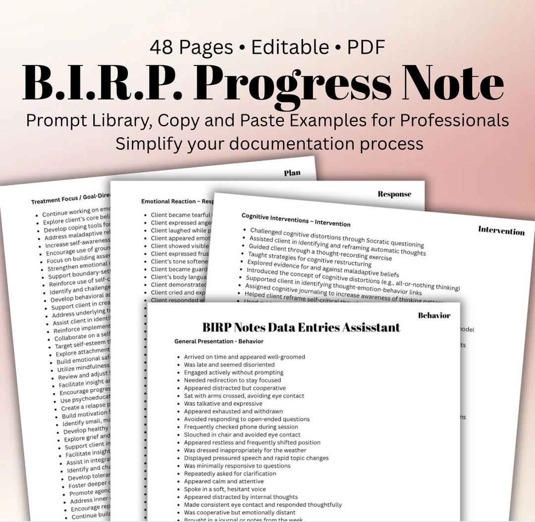 BIRP Progress Note Entries & Prompts for Therapists 1900+ Examples ...