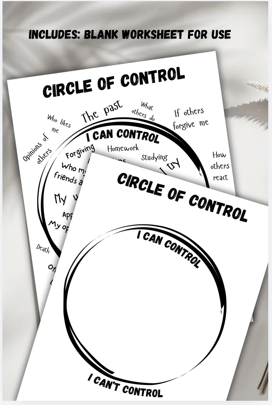 Circle of Control Worksheet Group Therapy Resource Therapist Tool Let ...