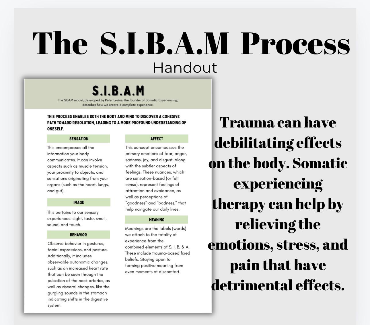 SIBAM Process Cheat Sheet Somatic Experiencing Manage Triggers Inner ...