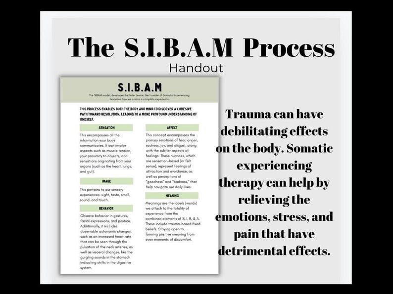 SIBAM Process Cheat Sheet Somatic Experiencing Manage Triggers Inner ...