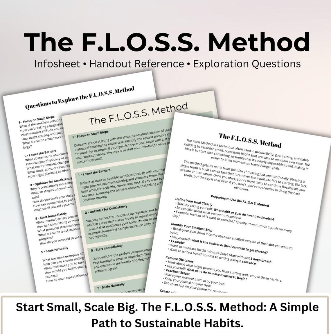Goal Setting Method the FLOSS Framework Achieve Desired Outcomes Habit ...