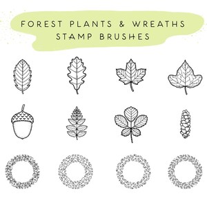 Forest Animals, Plants and Wreaths Stamp and Paint Brushes for ...