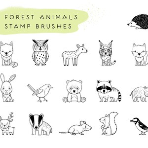Forest Animals, Plants and Wreaths Stamp and Paint Brushes for ...