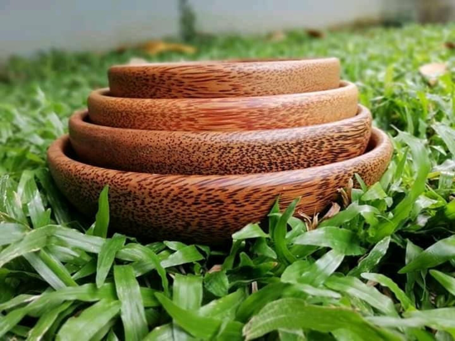 Coconut Wood Plates, Sizes of 7,curry Bowl, Coconut Bowl, Home Decor ...