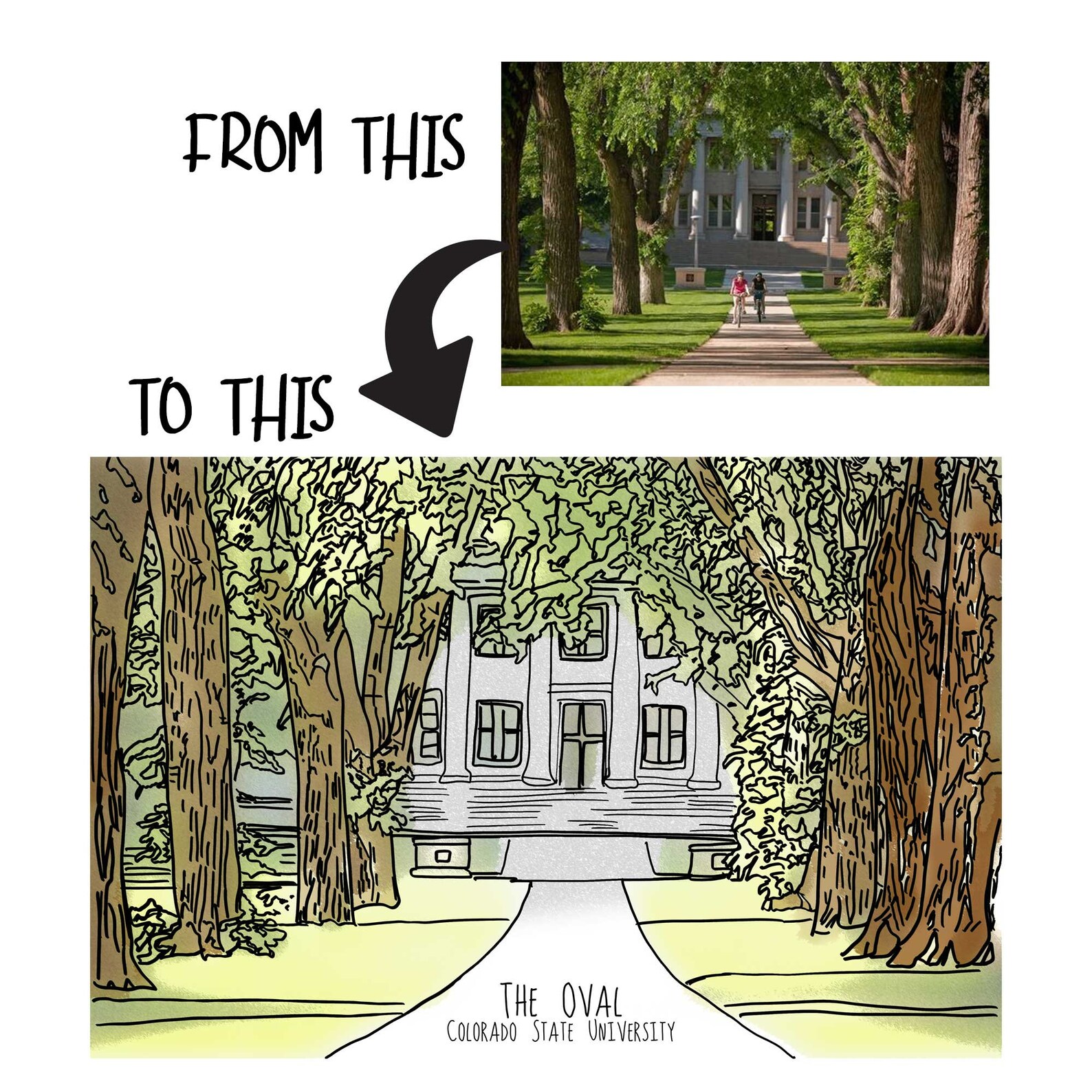 Colorado State University Oval Sketch Digital Download-line - Etsy