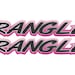 Hood Decals Made for / Compatible With: Wrangler - PINK - 2pc Set - Etsy