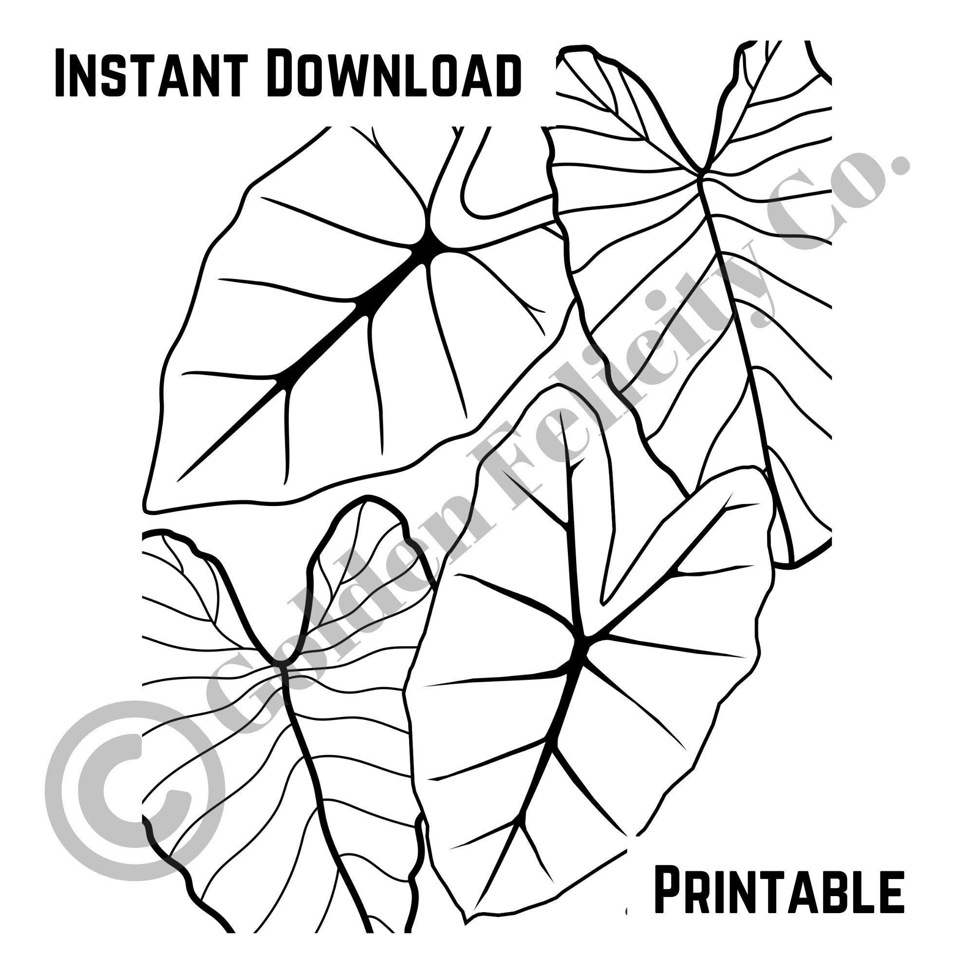 Elephant Ears Coloring Page