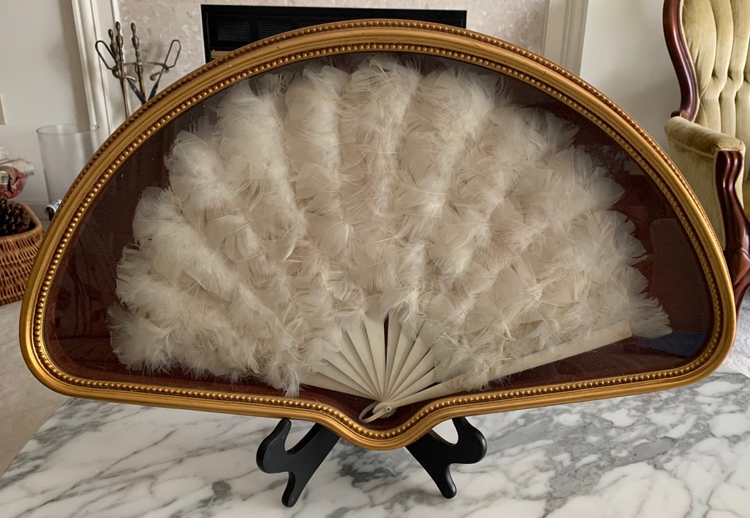 Antique Feathered Fan 2 With Custom Frame - Etsy