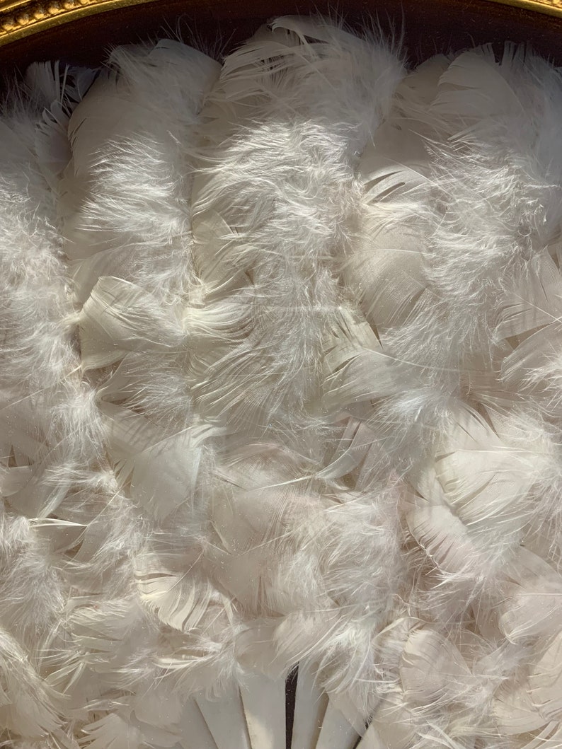 Antique Feathered Fan 2 With Custom Frame - Etsy