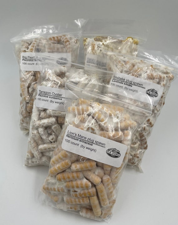 Home Décor 100 Count Gourmet Mushroom Plug Spawn Home & Living etna.com.pe