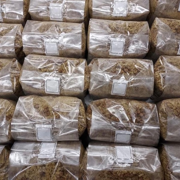 Substrate Blocks - Etsy