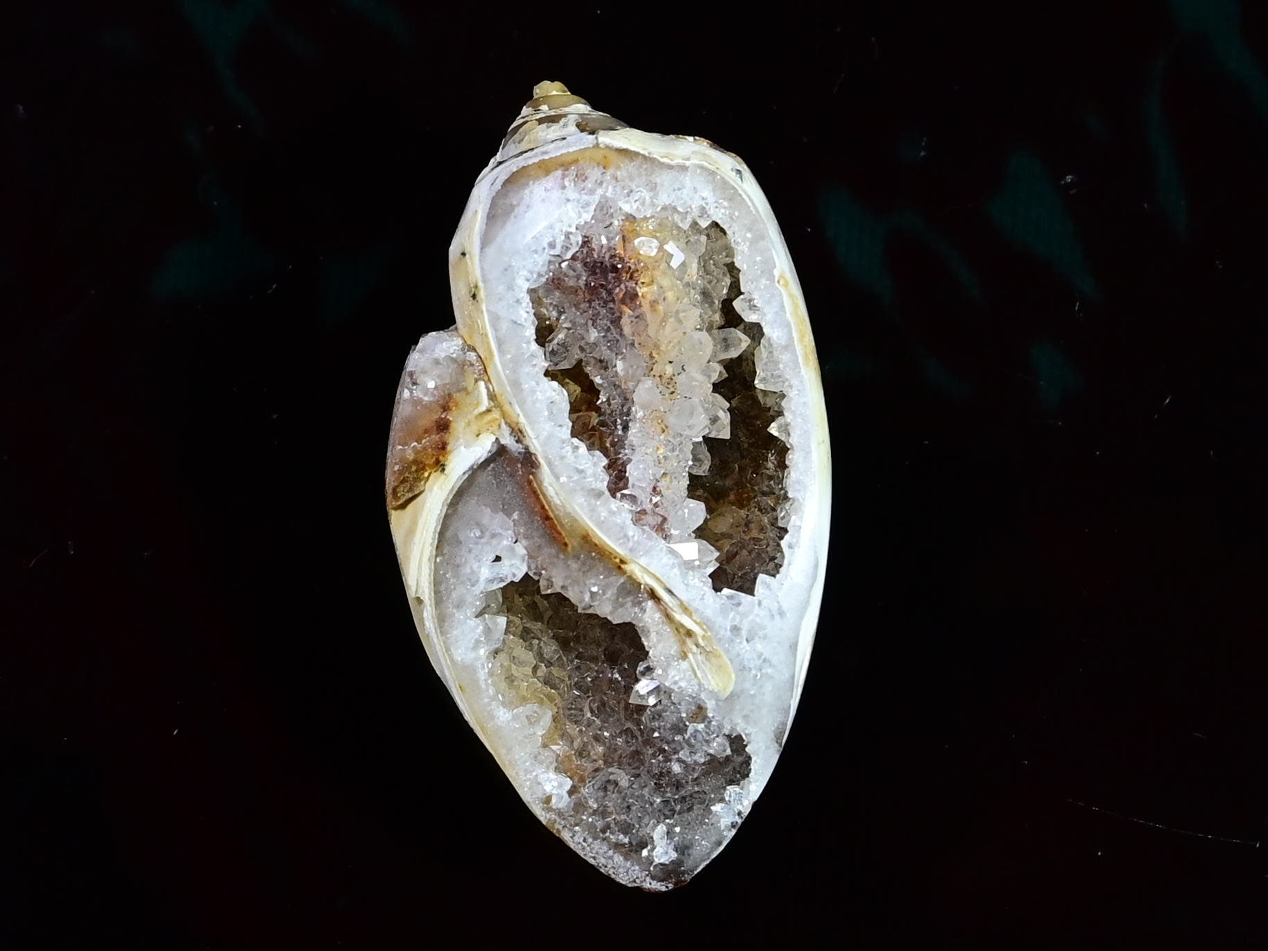 Natural Fossil Druzy Agate 38 Ct. 100% Natural Snail Druzy Fossil Snail ...