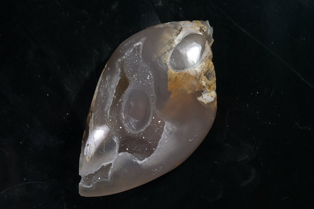 173 Ct. 100% Natural Rare Fossil Snail Druzy Agate Fancy Loose Gemstone ...